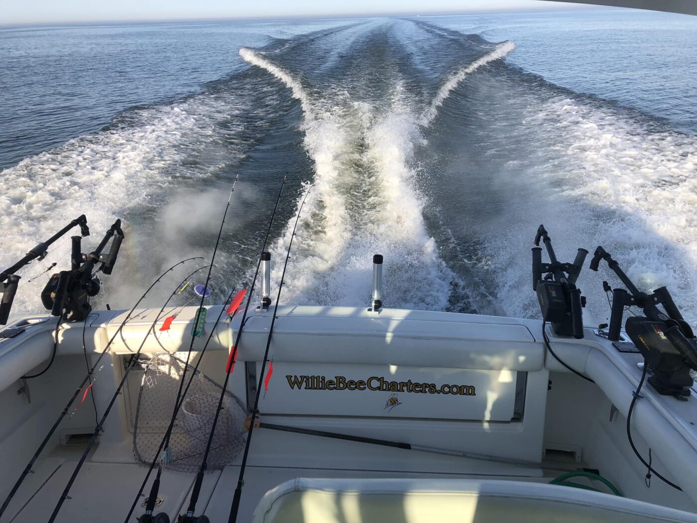 The 2024 Fishing Season has Begun | Willie Bee Charters